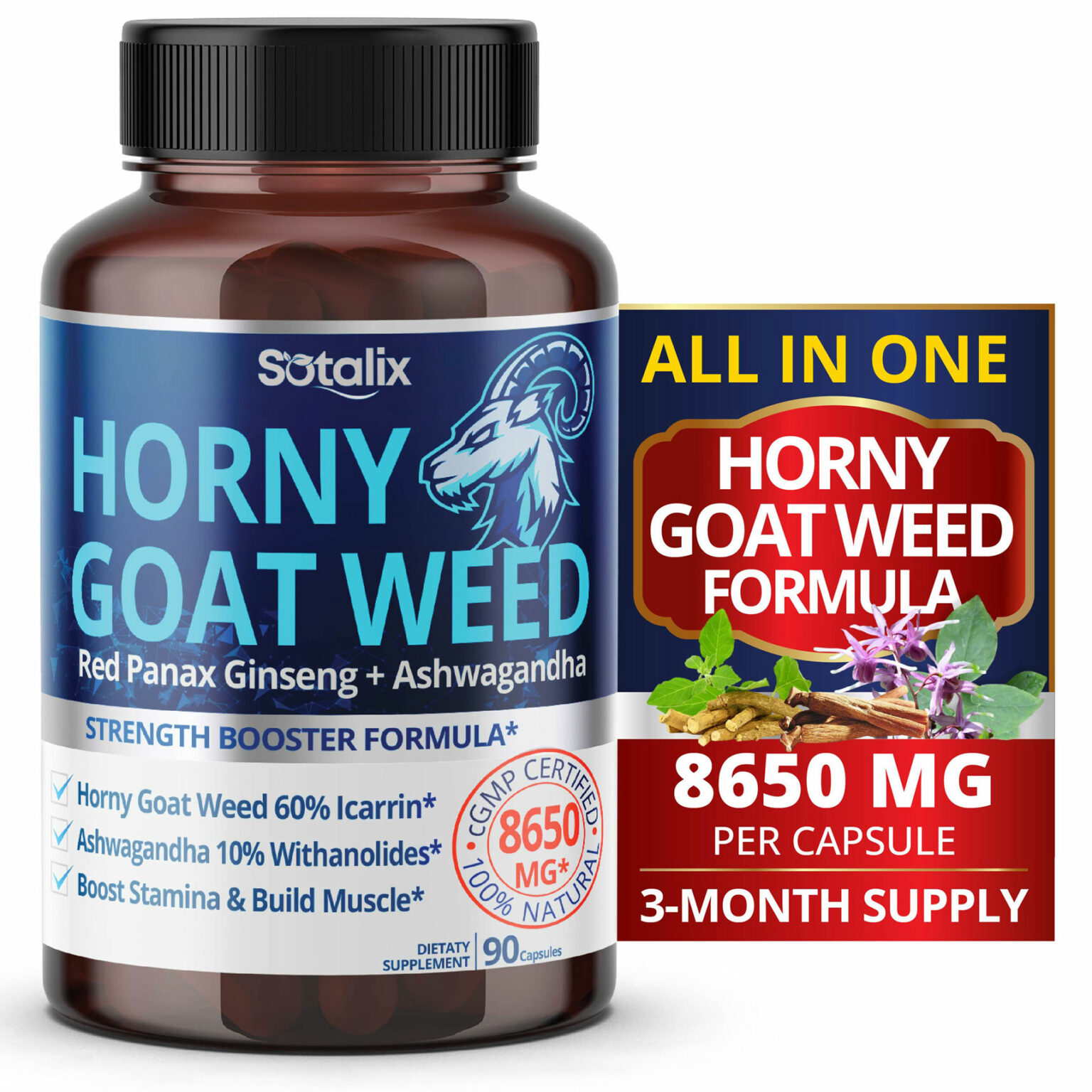 Shop – Sotalix Supplement